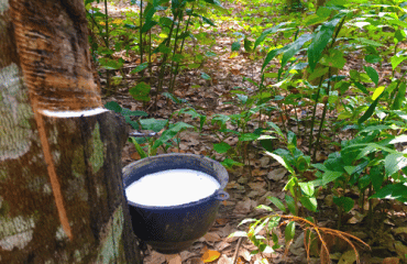 Rubber Sustainability - Aero Rubber Company®, Inc.